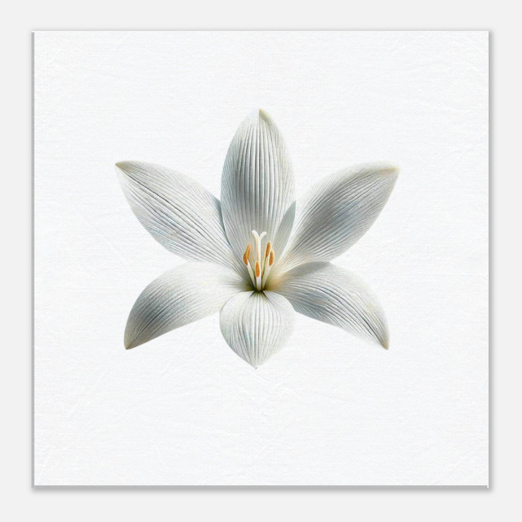 stem & stone – stem&stone