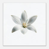 stem & stone – stem&stone