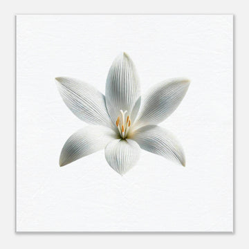 stem & stone – stem&stone