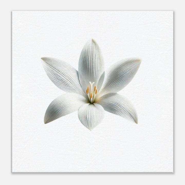 stem & stone – stem&stone