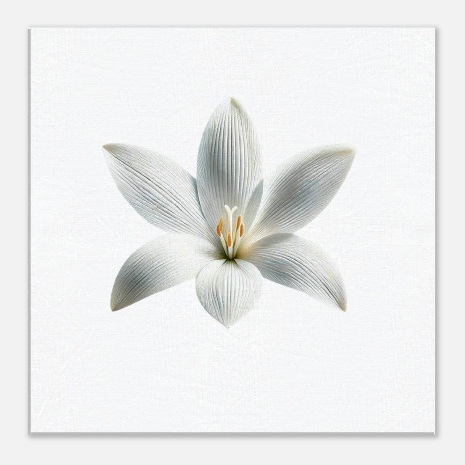 stem & stone – stem&stone